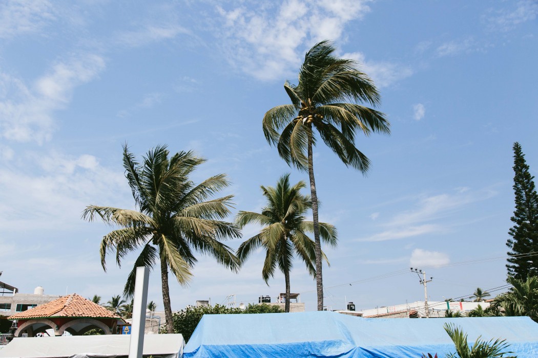 A Day in Bucerias - Mexico - The Retro Penguin