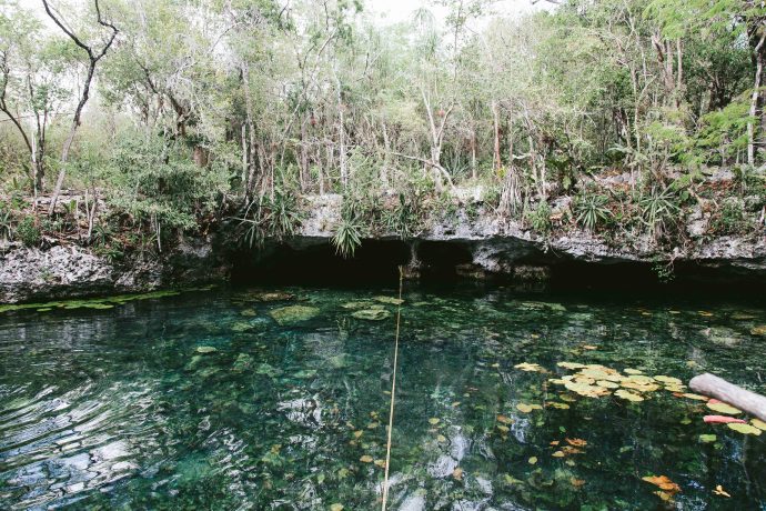 Cenote Nicte-Ha - The Retro Penguin